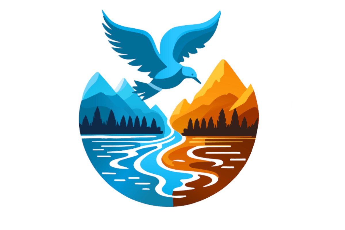 Tempo del Creato 2023, l'ambiente secondo Papa Francesco